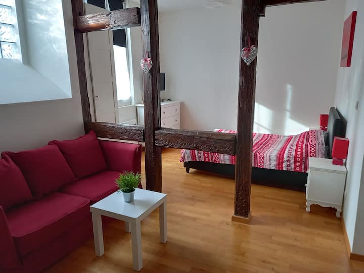 Le Nid De La Cathédrale - 2 Voyageurs - - Mittelwihr