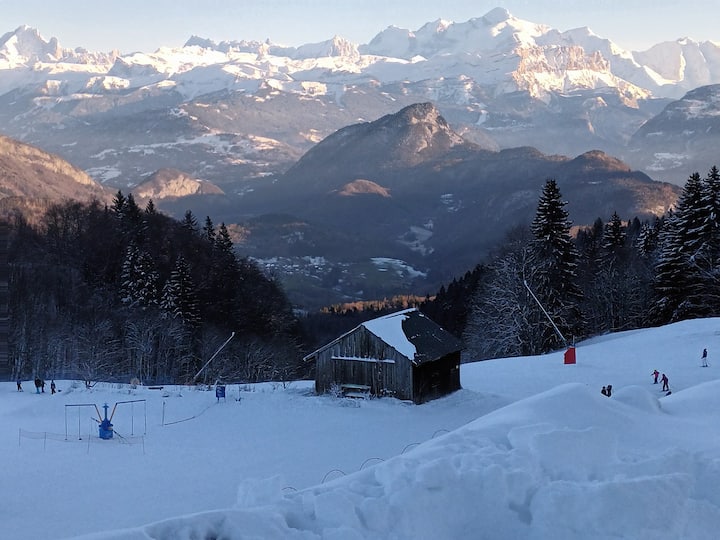 Location Aux Pieds Des Pistes - Haute-Savoie
