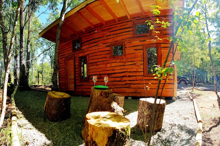 Reserva De Los Hualles - Cabaña 5 - Pucón - Pucon