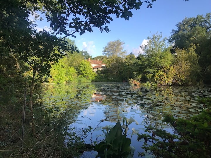 Chaleureux Meublé, Au Cœur D’un Airial :) - Castets