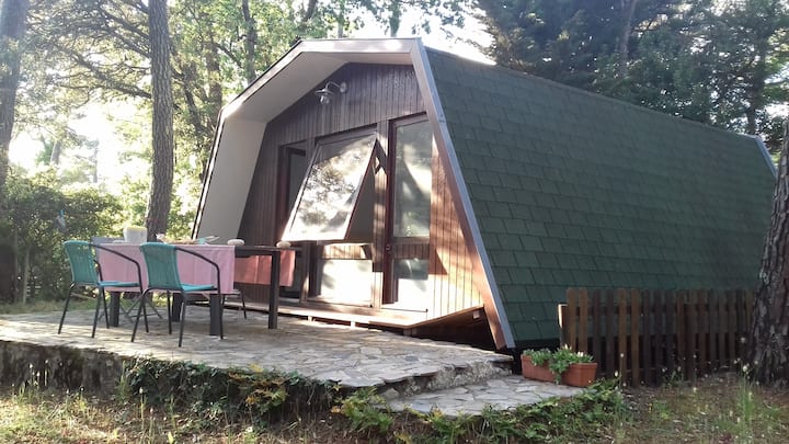 Chalet Cosy - La Tranche-sur-Mer