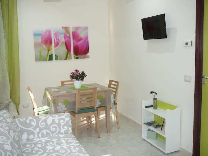 Casa Per Vacanze Il Tulipano Vicino Centro Storico - Matera