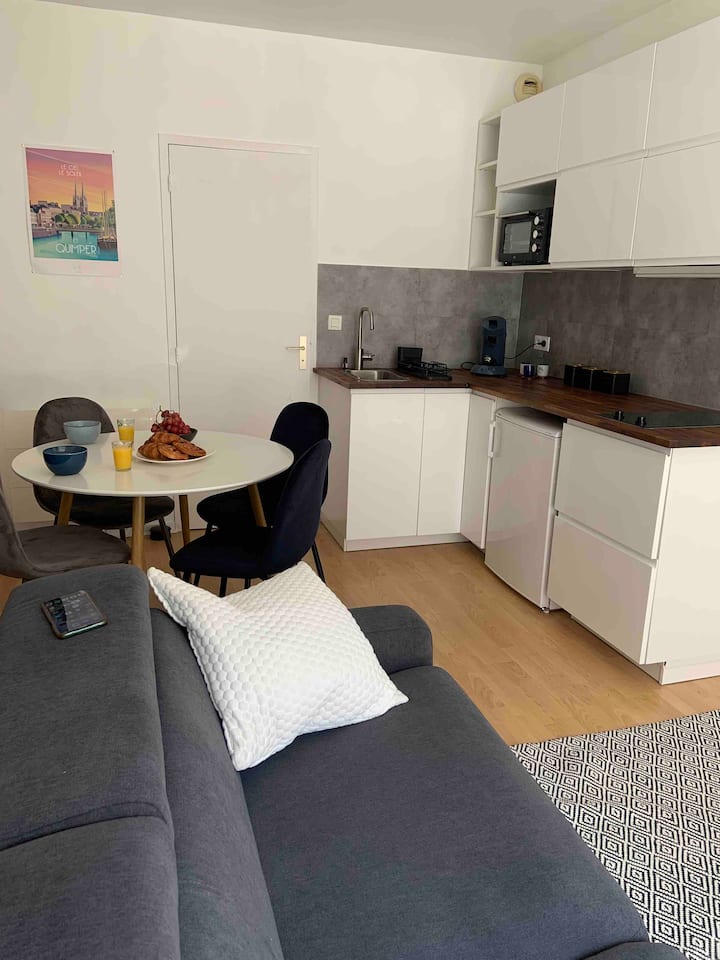Logement Calme-cosy -Centre Ville-parking - Quimper