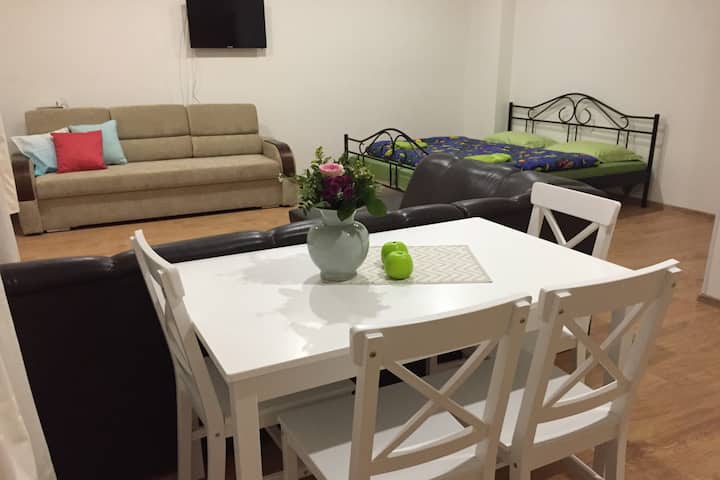 Sunny Apartment Center Teplice Wi-fi - Teplice