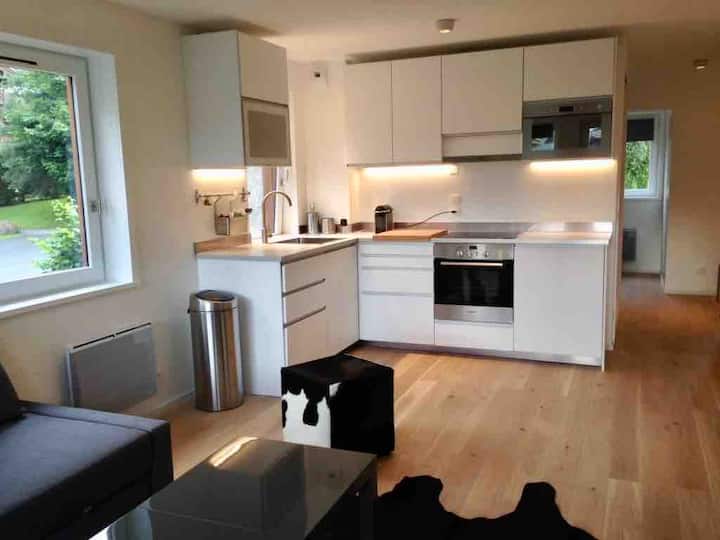 Joli Appartement Proche Des Pistes Et Du Village - La Giettaz