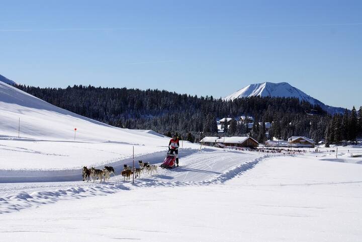 Charmant Studio Au Pied Des Pistes-le Praz De Lys - Praz de Lys Sommand