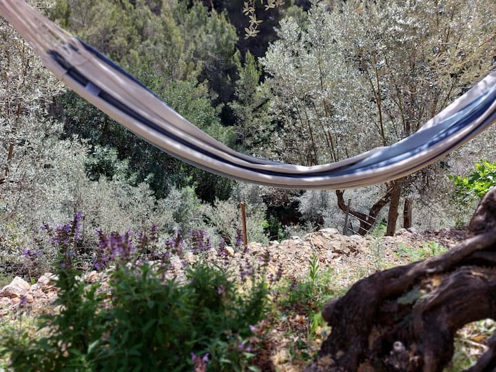 Habitación En La Naturaleza. - Sóller