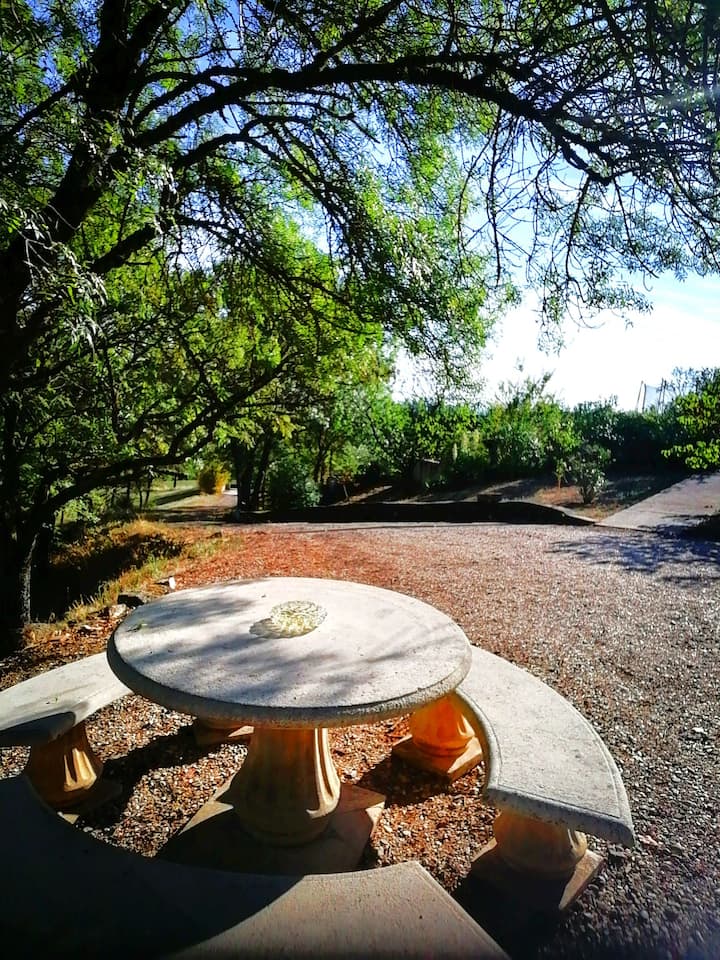 Maison La Forêt, Travailleurs Et éTudiants - Albí