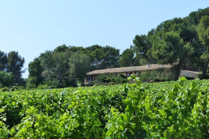 Suite Gros-maman - Saint-Cannat