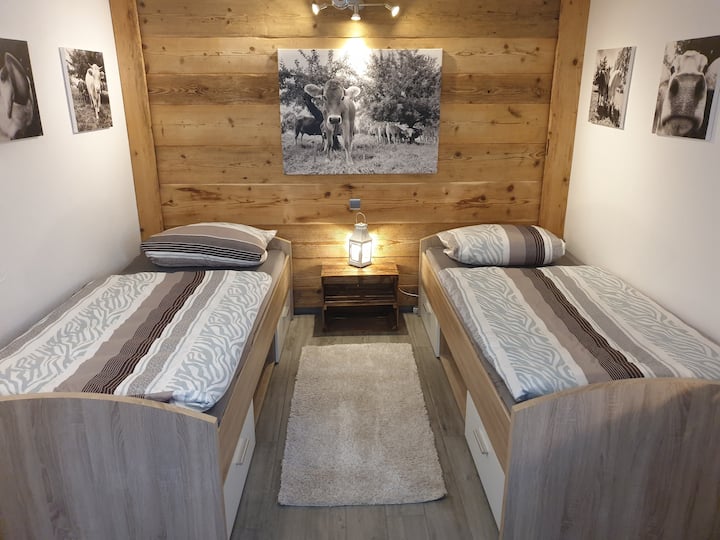 Gemütliches Appartement Inmitten Der Altstadt - Wangen im Allgäu