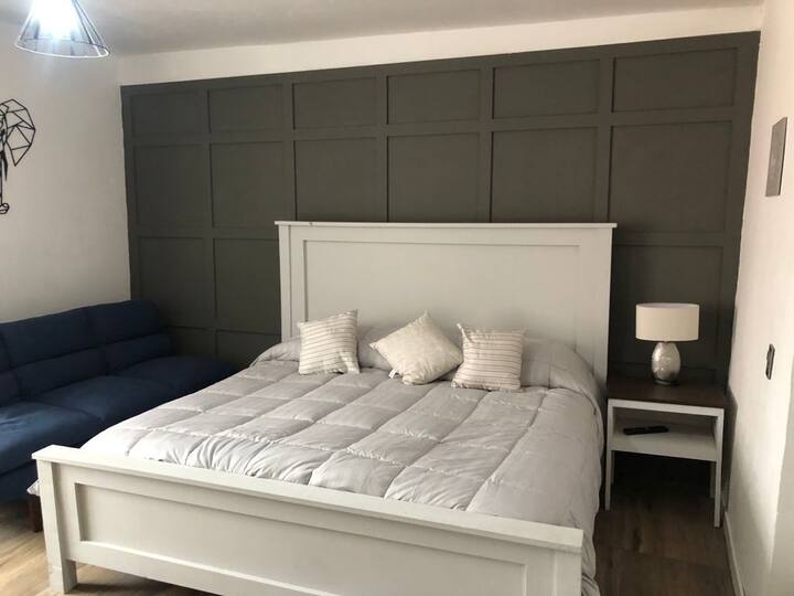 Departamento 5 Studio Centro Histórico Cama King - Zacatecas