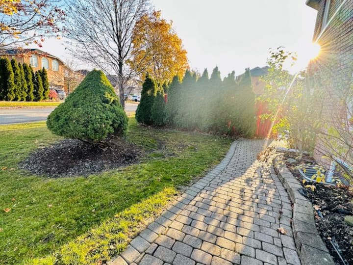 Spacious 2bedroom 1bath,basement Unit - Mississauga