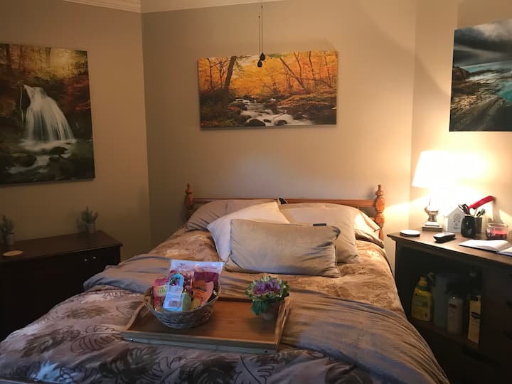 Relaxing Room...pet Friendly, Near Goodfellow Afb. - San Angelo, TX