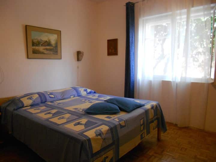 Leandra - Studio Apartment Blue - Vis