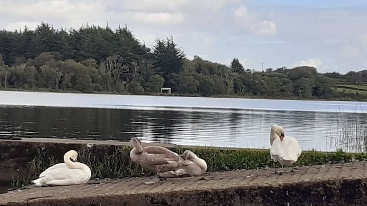 The Lazy Peddler 3 - Bundoran