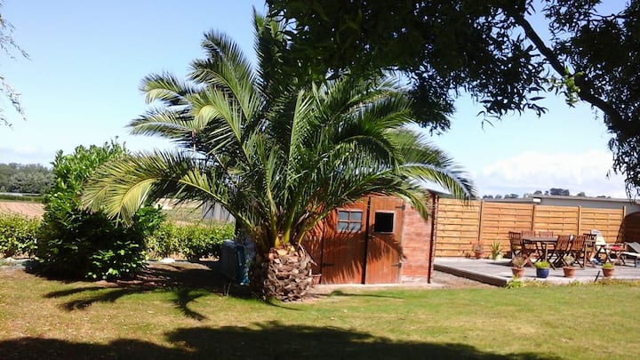 Un éCrin De Verdure  à 2,5km Des Plages De Keremma - Plouescat