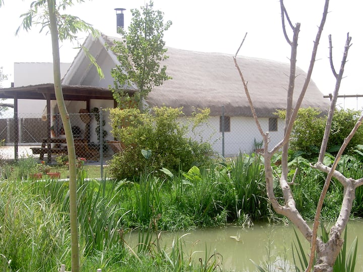 Barraca Típica Del Delta
Pte 000107 - Deltebre