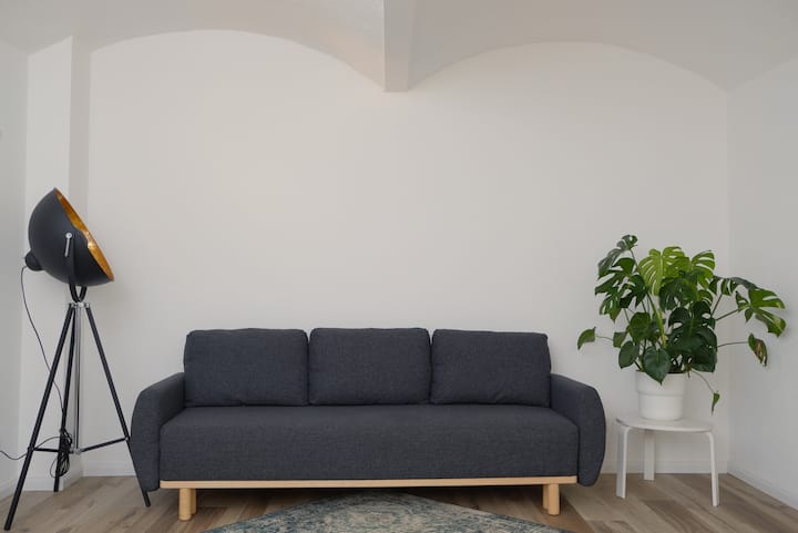 Stilvolle Souterrainwohnung In Elbnähe - Dresde