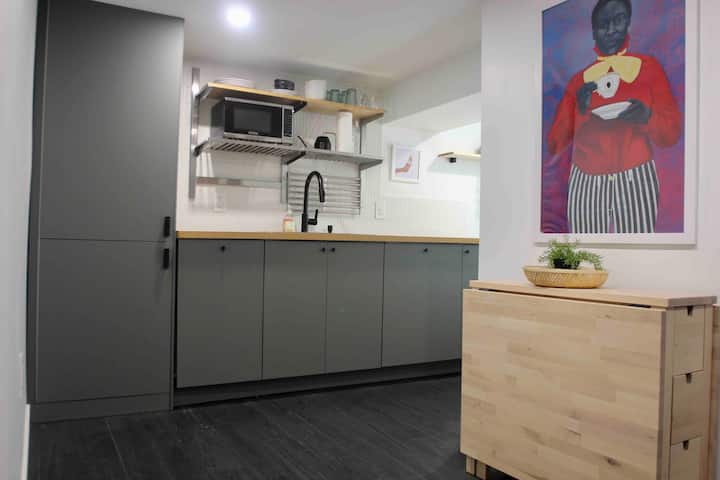 Modern And Charming Basement Apartment Near Dc - 銀泉