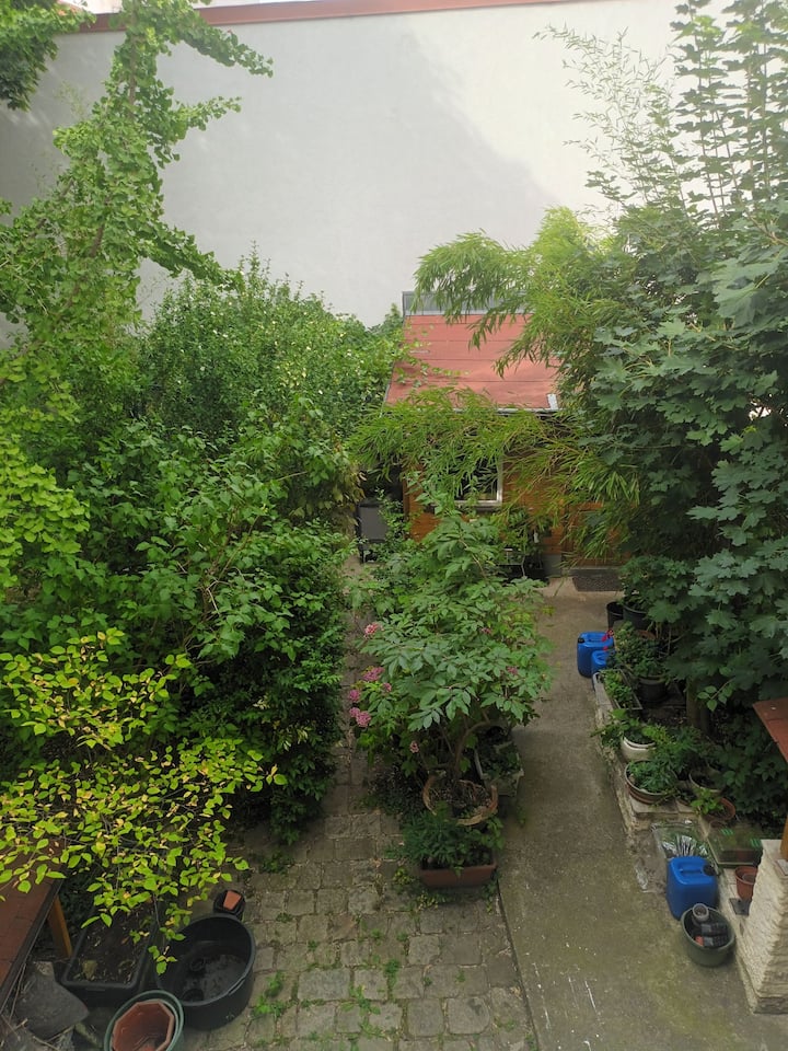 Spacious Apartment With Direct Connection To City! - Viena