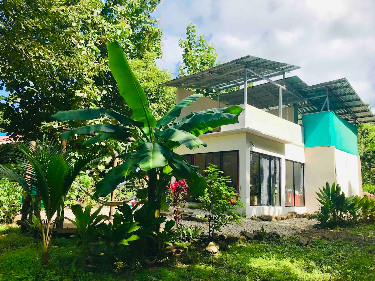 Loft en la selva y acampada en la azotea en Pelada - Chalets en ...