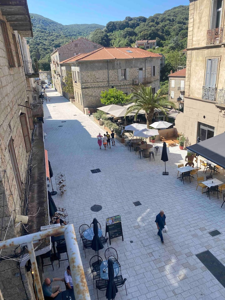 Grand F3 Renove Centre Ville Immeuble Pierre - Sartène