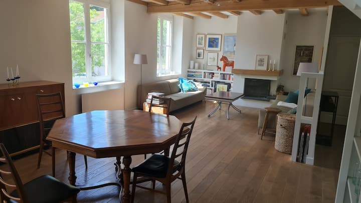 Deux Chambres D'hôtes Cosy En Face De L'ile Barbe - リヨン