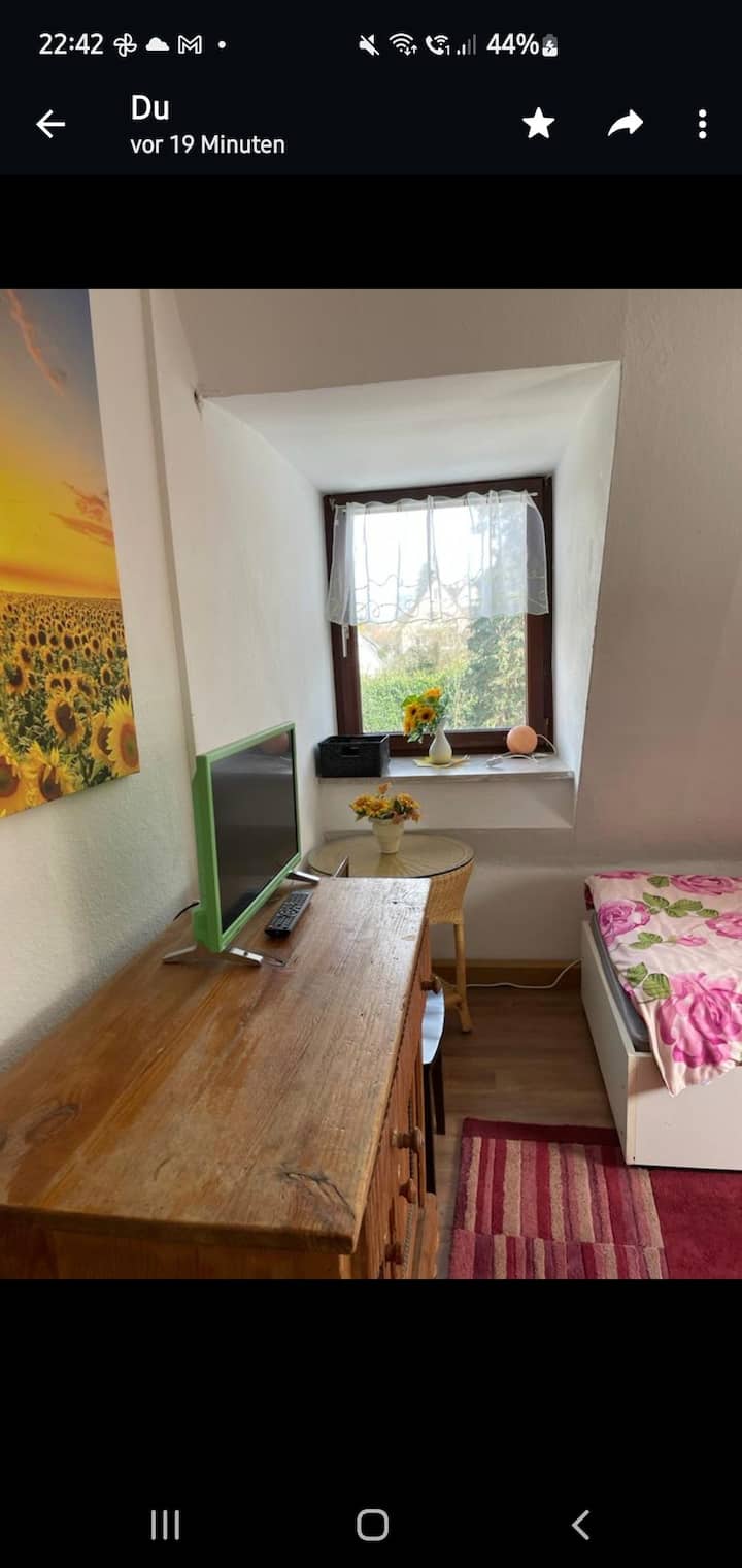 Privat Zimmer In Wg - Freiburg im Breisgau