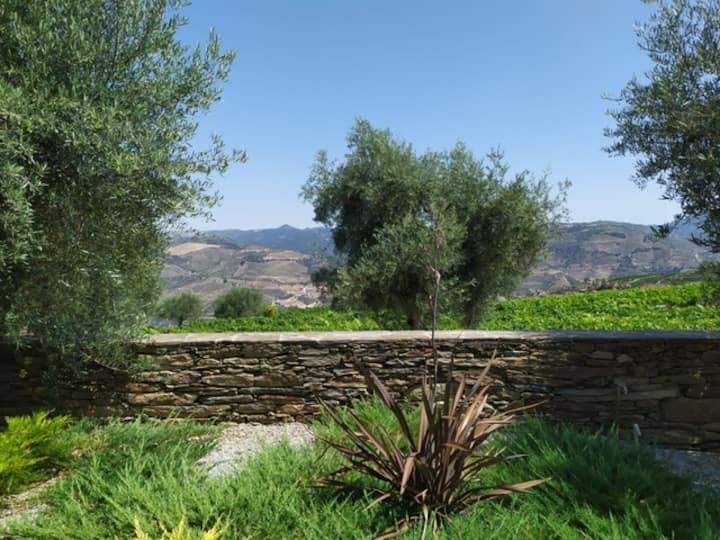 Moradia No Alto Douro - São João da Pesqueira