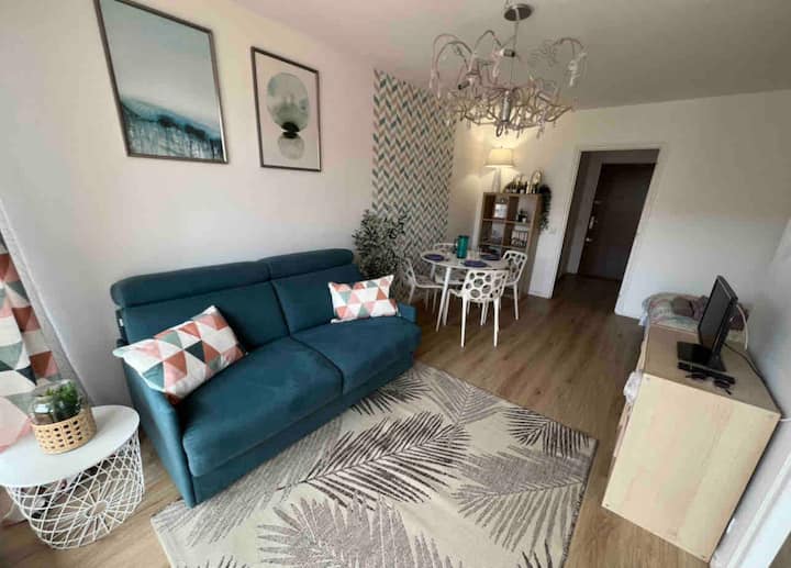 Bron Confort Lumineux Proche Eurexpo, Hôpitaux - Bron