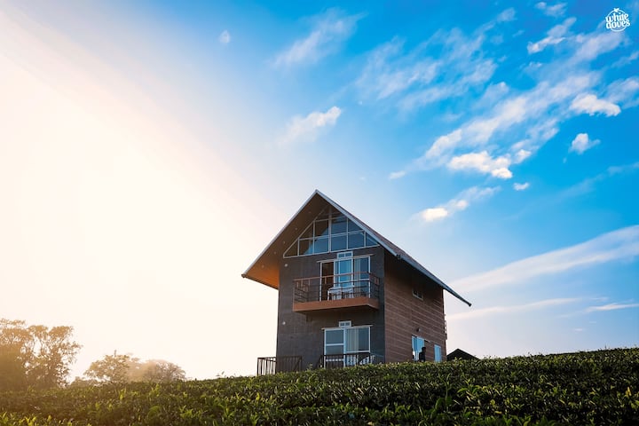 Cloud Canopy Vagamon- Unique Tea Garden Stay - Vagamon