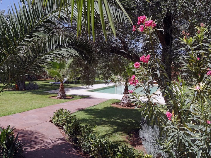 Maison Dans Grand Parc Arbore D Oliviers - Ourika
