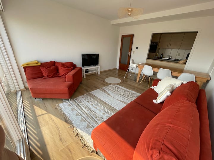 Bel Appartement 3 Chambres à 50m De La Plage - La Panne