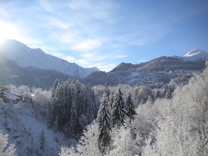Gîte "Chamois" Vue Face à La Chaîne Du Mont-blanc - Servoz
