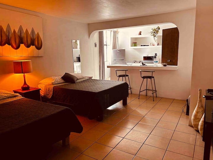 Superb Loft In The Center Of Gdl - Guadalajara