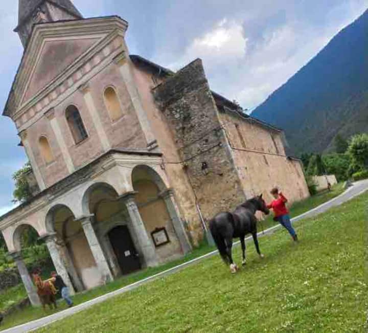 Superbe Studio A Valdeblore Mercantour - Valdeblore