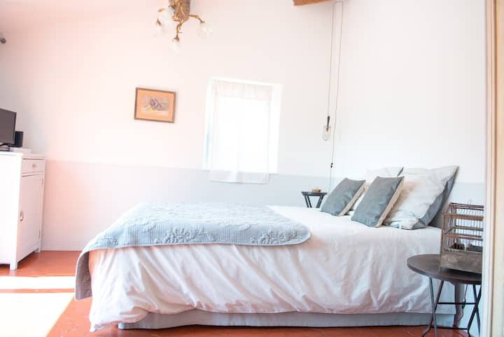 La Chambre 21, Chambre D'hôtes Entrevaux Provence - Les Deux Alpes, France
