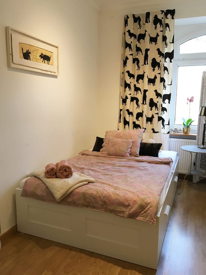 Hübsches Zimmer In Der Altstadt. Nur Frauen! - Fribourg-en-Brisgau