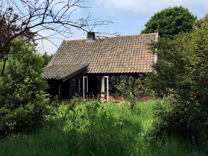 Coastal Retreat - Aldeburgh - Aldeburgh