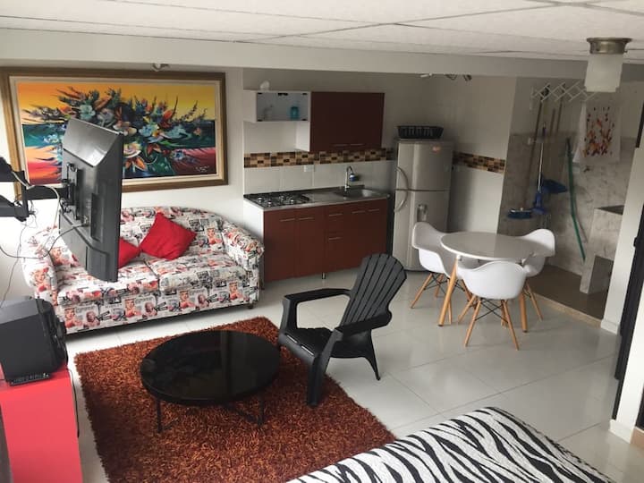Apartaestudio En Ibagué, Cómodo, Tranquilo, Bello. - Ibagué