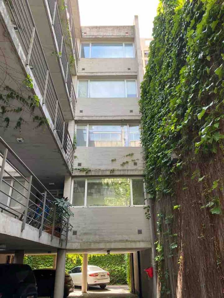 Campo De Polo. Palermo - Buenos Aires