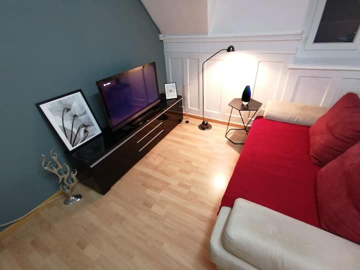 Big And Comfortable Bedroom In Central Zurich - Zürich