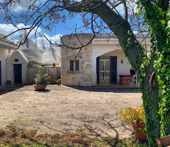 Trulli L’olivo Casa Vacanze - Apulia
