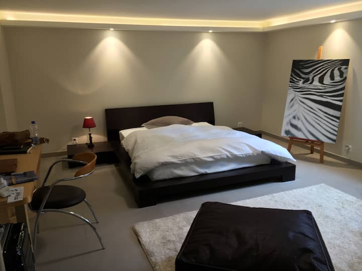 Appartement Moderne + Jardin (Piscine à Proximité) - Ferney-Voltaire