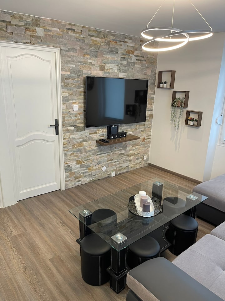 Très Bel Appartement Cosy Et Chaleureux. - Schiltigheim