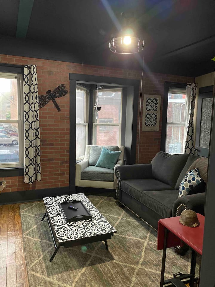 Downtown Unique 2 Bed Turtle Apartment - Ashland, OH