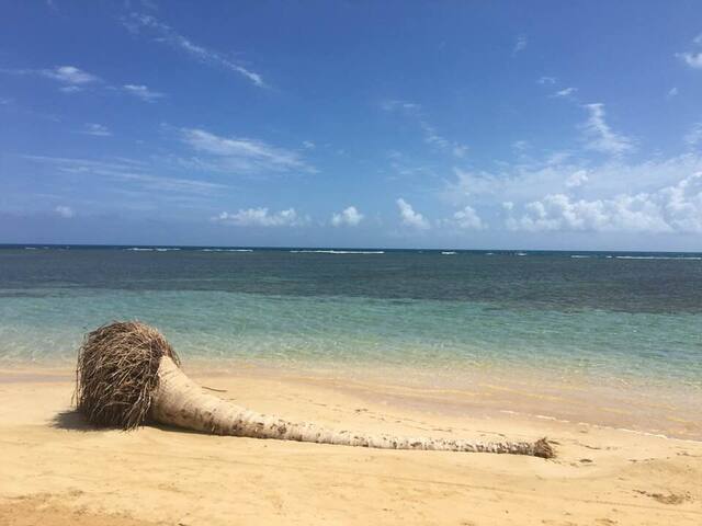 Family Beachfront Apt at Punta Bandera Luquillo 【 AUG 2021 】 Apartment ...