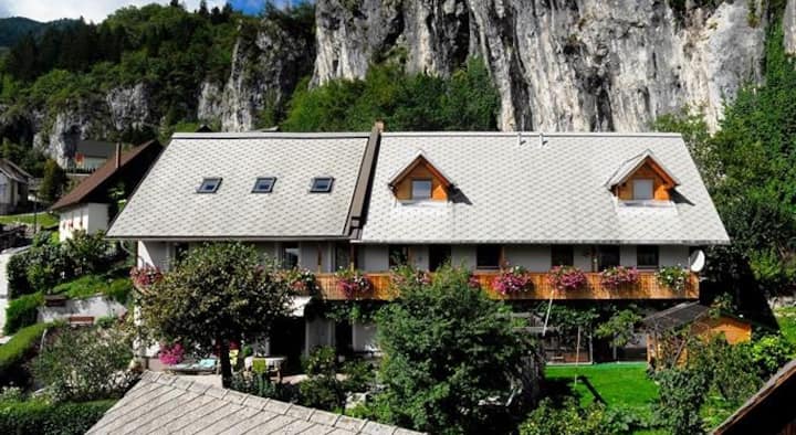 Katricnek Apt. 3 - Bled