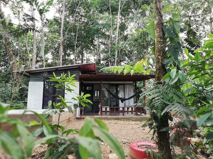 Villagarzón : locations de vacances et logements - Putumayo, Colombie ...