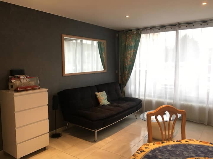 Lacordière (F2 62 M² Au Centre De Dijon) - 迪戎